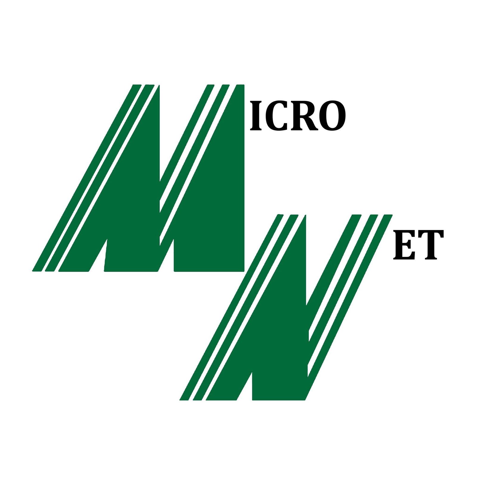 Typist - Micronet Global Services (Pvt) Ltd Vacancies 2026