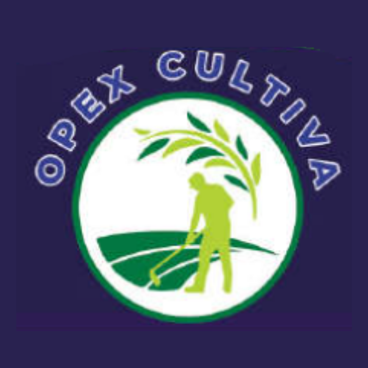 Product Officer - Damro Sri Lanka Job Vacancies 2026